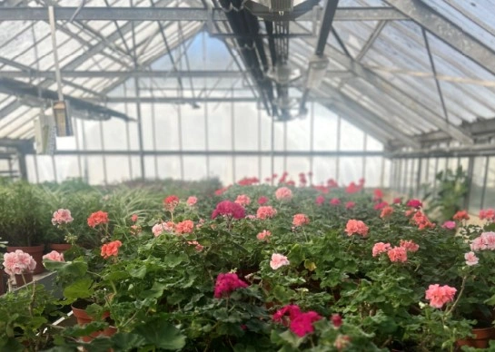 Magasin de l'école d'Horticulture - Promar - APMW - Etudier en Hainaut