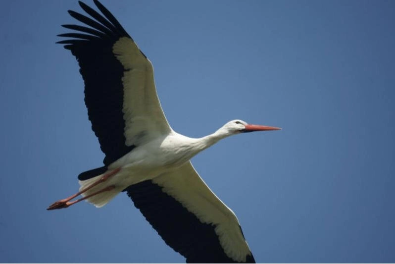 Voyage des deuxièmes à Koksijde - Actualités APMW - Etudier en Hainaut